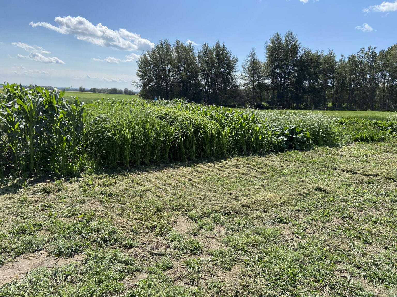 Gateway Research Organization – A non-profit, farmer led, applied ...